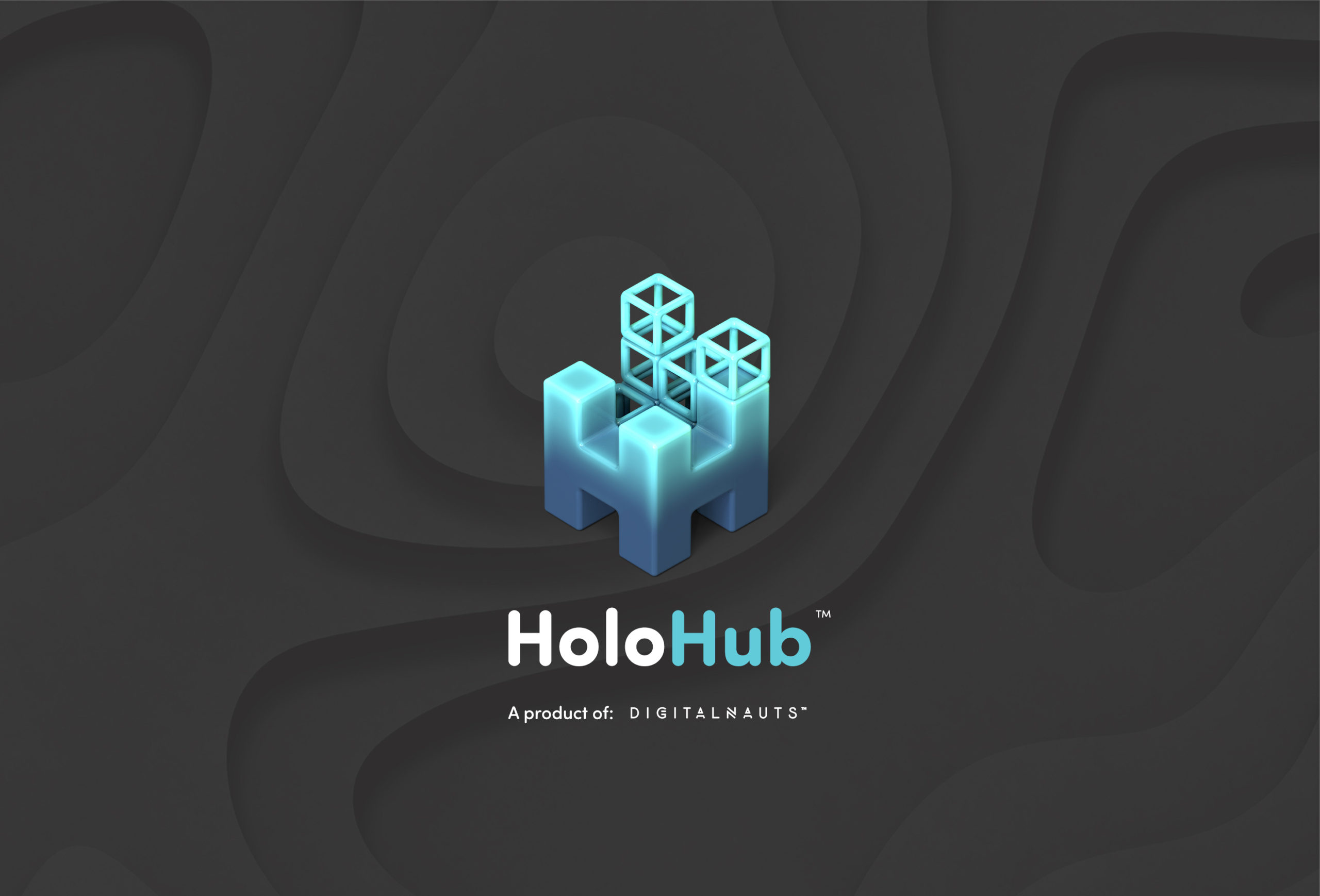 HoloHub: XR Management for Business